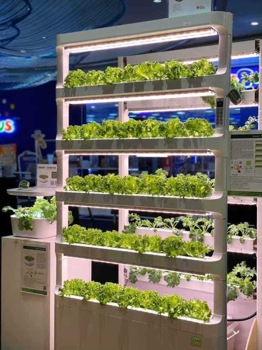 Smart Screen - Civicagrotech