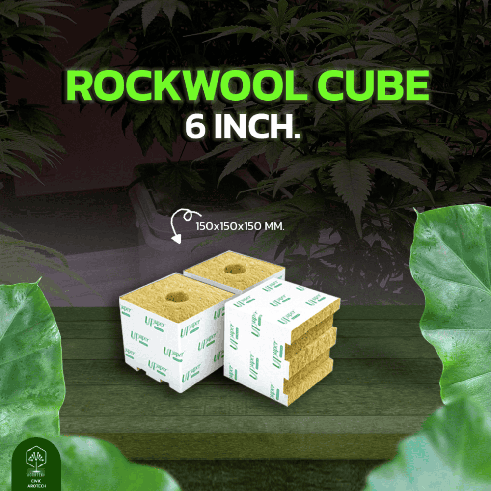 Rockwool CUBE 6 นิ้ว - Civicagrotech