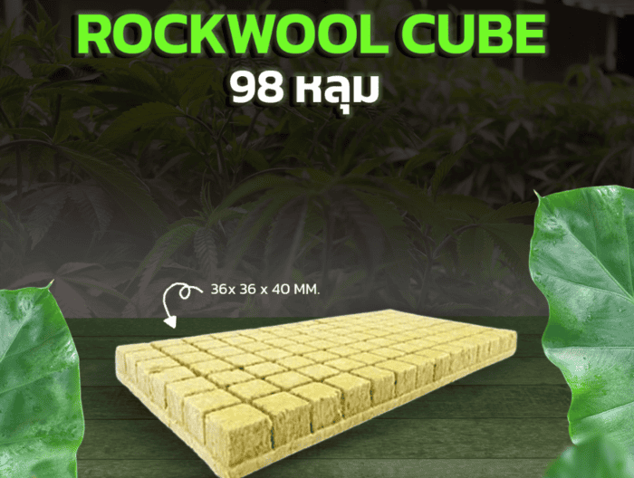 Rockwool Cube ใยหิน วัสดุเพาะชำสำหรับปลูกต้นไม้ พร้อมส่ง