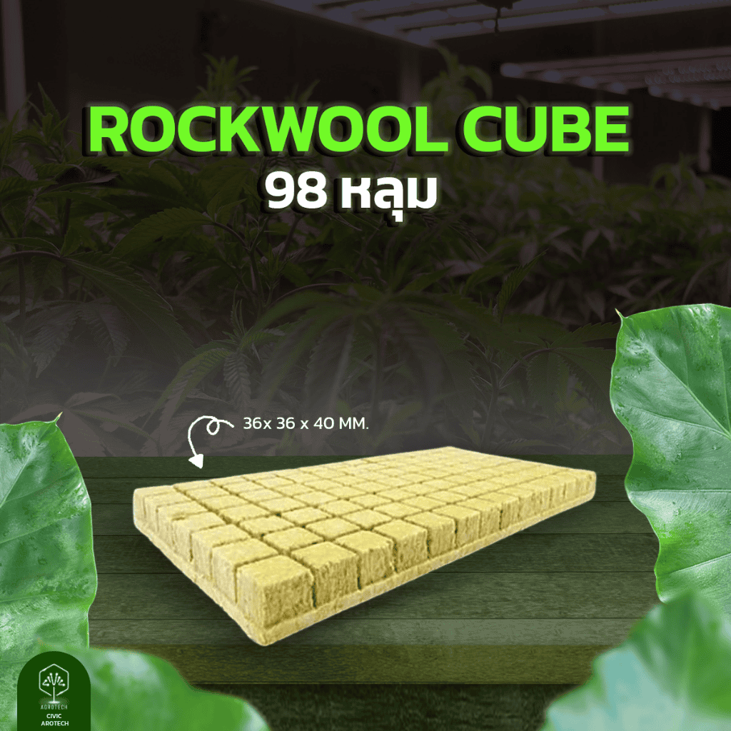 Rockwool Cube 98 หลุม - Civicagrotech